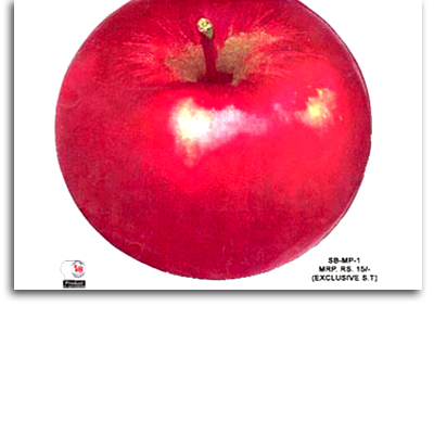 Memo Pad with Images of Fruit and Vegetable - Indian Products